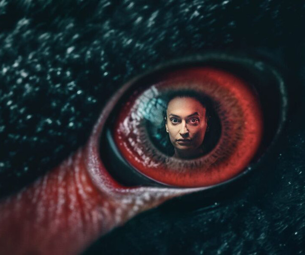 Advocaat van de Onderwereld